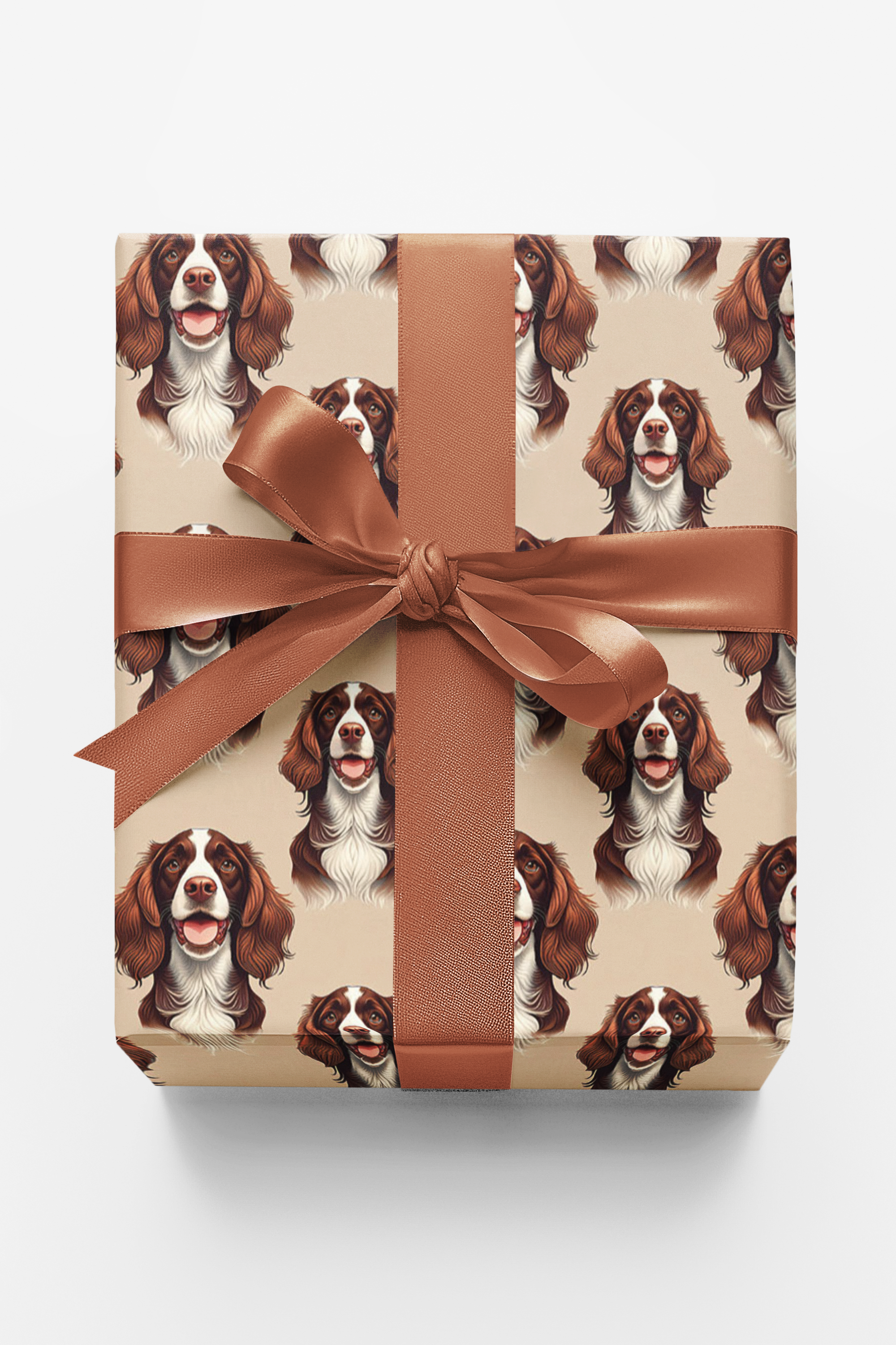 Springer Sass Wrapping Paper – London Penny Gift Wrap